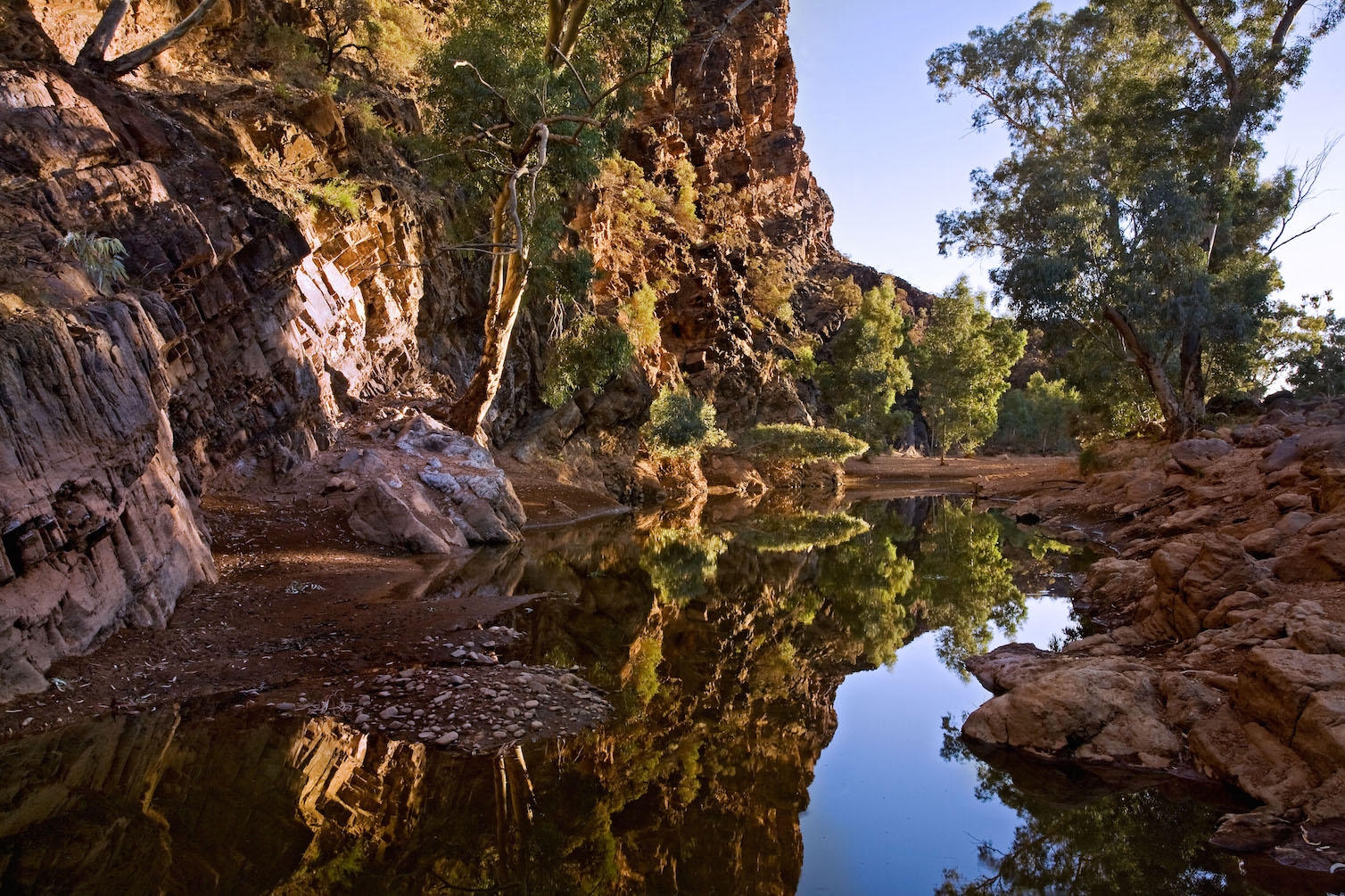 Arkaroola Wilderness Sanctuary - Wejugo