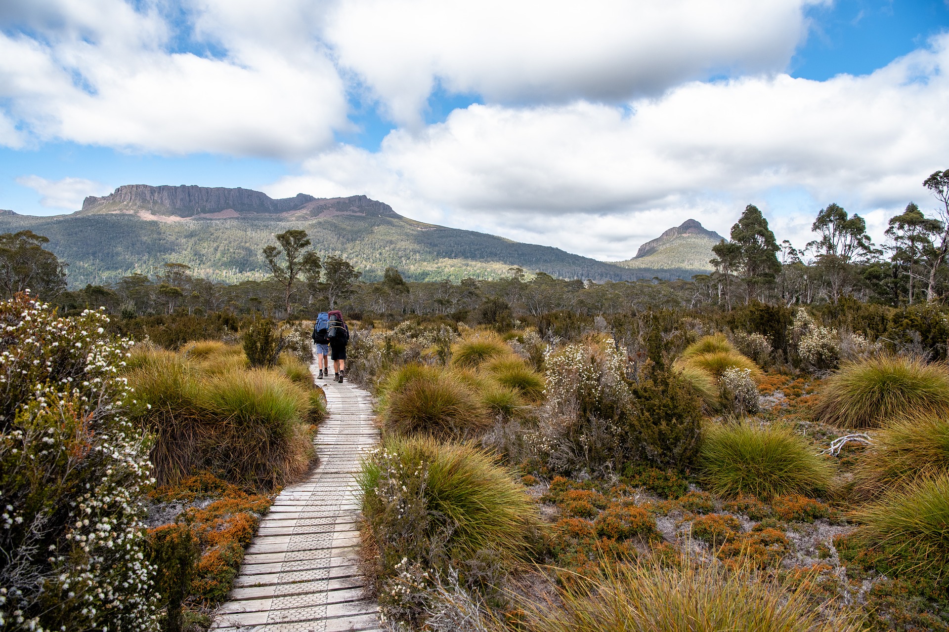 The Overland Track - Wejugo