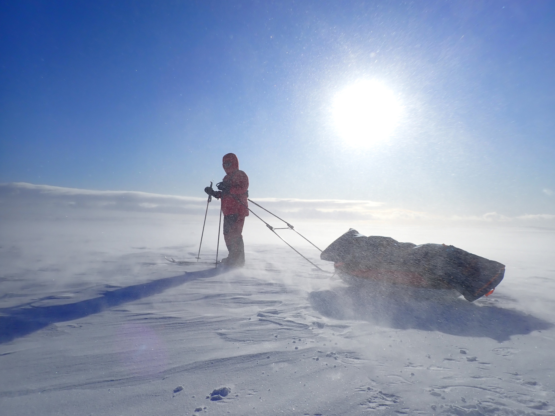 Brooke Nolan - Wejugo