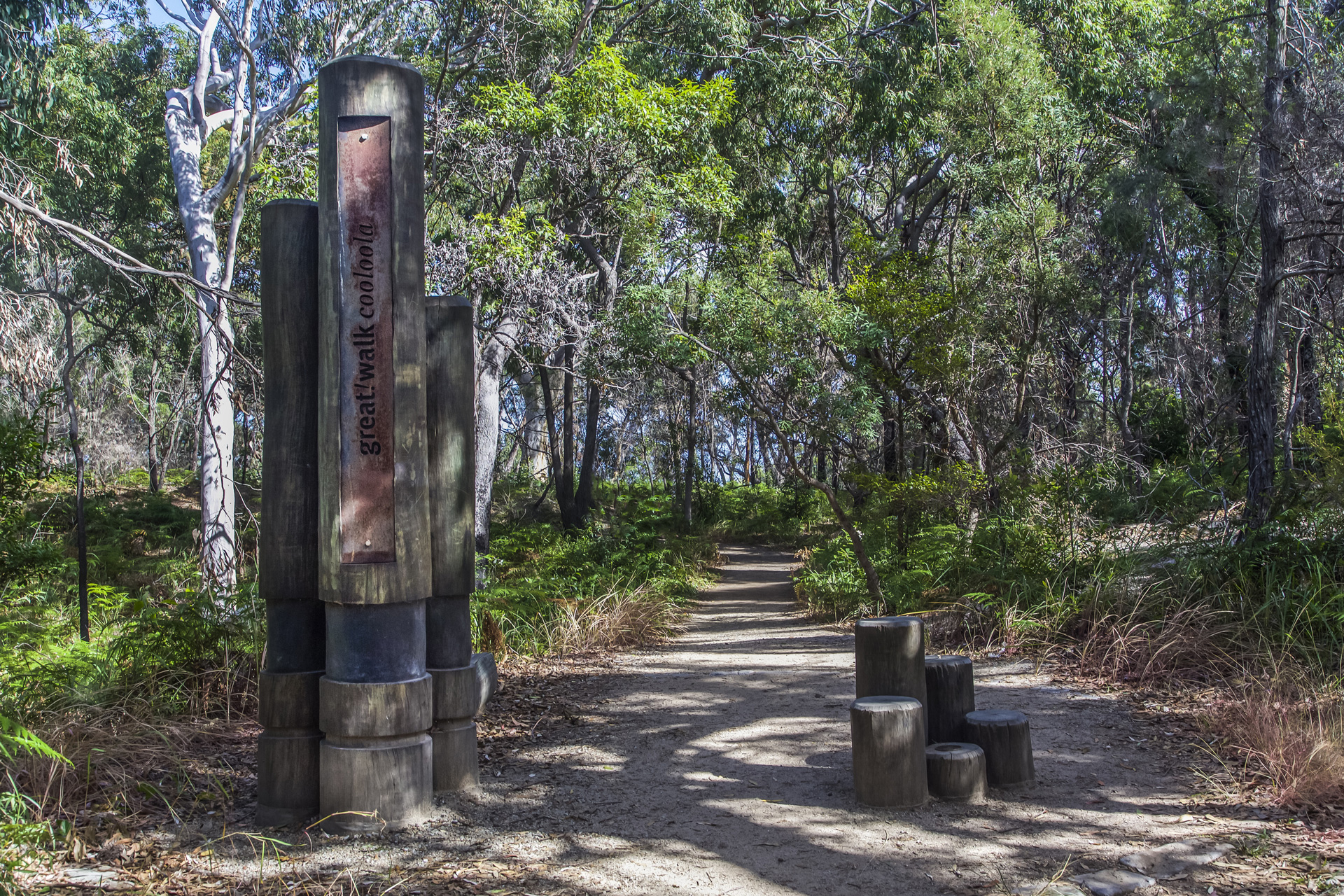 Cooloola Great Walk - Wejugo